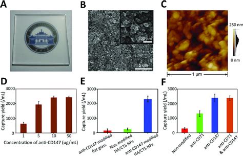 Chip Characterization And Performance Validation A Photograph Of The Download Scientific