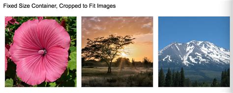 Proportionally Scale Or Crop Images Using Css · Html