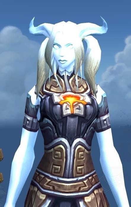 Skinsealer Tunic Item World Of Warcraft