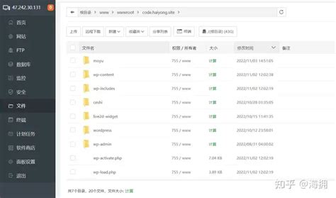 用html5、css3和一些简单的js代码写了一个个人网站，之后如何上线？ Csdn博客