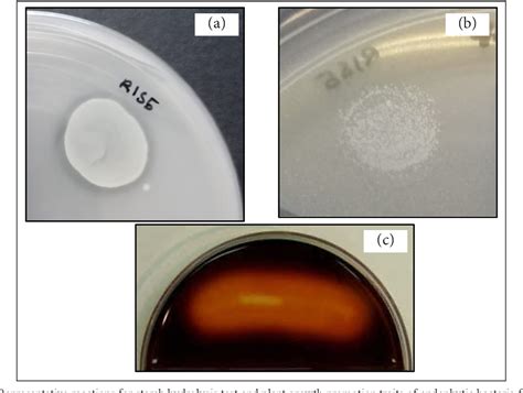 Table 1 From Characterisation Of Endophytic Bacteria From Nam Nam