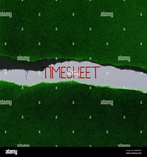 Text Caption Presenting Timesheet Business Idea Graphical