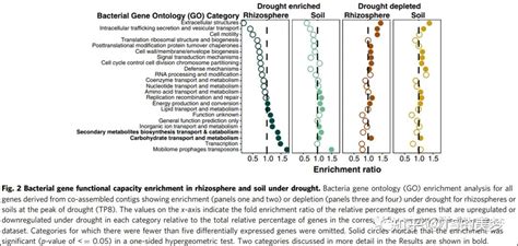 复现《nature Communications》图表：ggplot展示多组基因富集结果 显著性区分 知乎