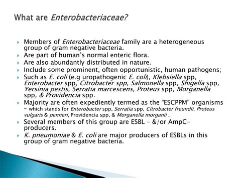 Ppt Extended Spectrum β Lactamase Esbl Production In
