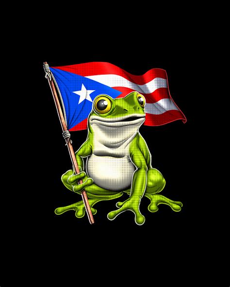 Coqui Frog Puerto Rico Flag Digital Art By Nikolay Todorov Pixels