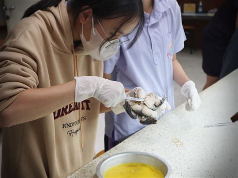 คณะวิทยาศาสตร์ มหาวิทยาลัยเชียงใหม่ Faculty Of Sciencecmu