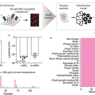 PDF Machine Learning Driven Multifunctional Peptide Engineering For Sustained Ocular Drug Delivery