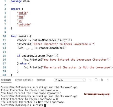 Go Program To Check Character Is A Lowercase