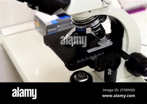 Medical Laboratory With Hematological Profile Research Using A Microscope Stock Video Footage