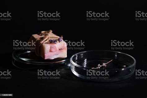 고립된 검은색 배경 위에 마른 라벤더 꽃이 있는 페트리 접시에 분홍색 대리석 비누 막대에 대한 세부 정보 스킨 케어 0명에 대한 스톡 사진 및 기타 이미지 Istock