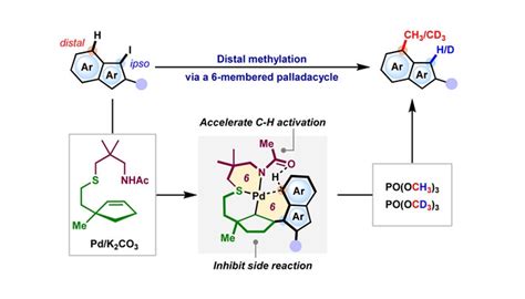 Publications Jiao Research Group