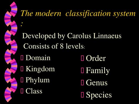 ppt classification of living things powerpoint presentation free