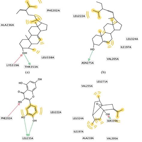 2d Structure Of 1 Stigmasterol 2 α Sitosterol 3 Quercetin 4 Download Scientific