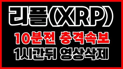 리플 와 내용이 충격입니다 짤리기전에 보세요xrp 리플 리플코인 Youtube