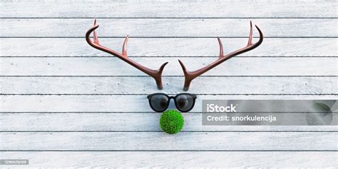 녹색 푹신한 코와 큰 선글라스와 순록 뿔 크리스마스 카드 템플릿 흰색 판자 배경 3d 렌더링 눈 신체 부분에 대한 스톡 사진 및 기타 이미지 Istock