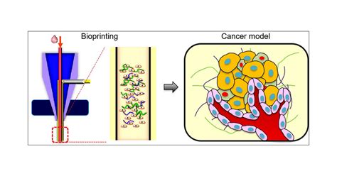 Bioprinting The Cancer Microenvironment Acs Biomaterials Science And Engineering