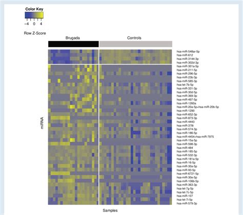 Heat Map Presenting Expression Levels Of The 42 Mirnas Differentially Download Scientific