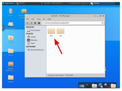 step 2 setting up the qupath viewer nvidia docs
