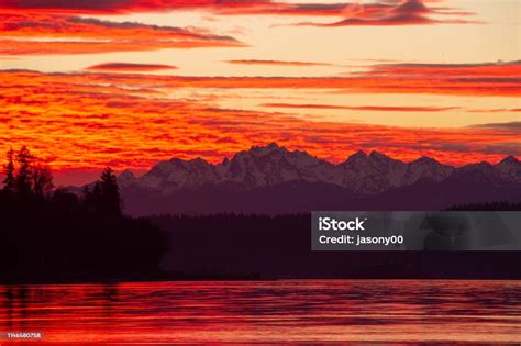 Brilliant Sunset Over The Pacific Northwest With Evergreens In
