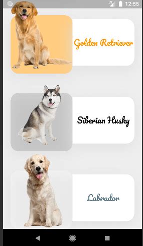 GitHub Anuj Pet Shop Ui Flutter