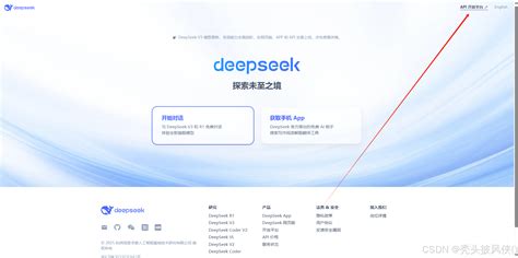 java接入deepseek的两种方式 用java 对接deepseek本地模型的方法 csdn博客