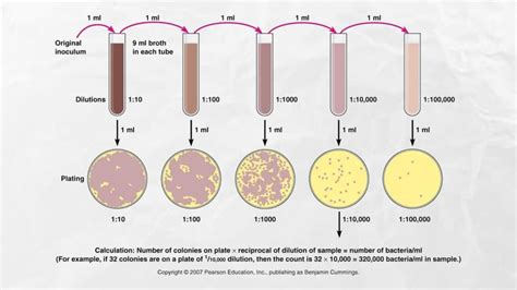 Pour Plate Method Principle Procedure Objective Result Advantages
