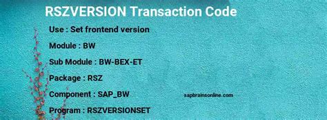 rszversion sap tcode for set frontend version