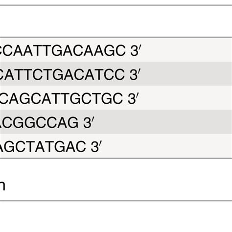 Primers Used For DNA Sequence Analysis Download Table