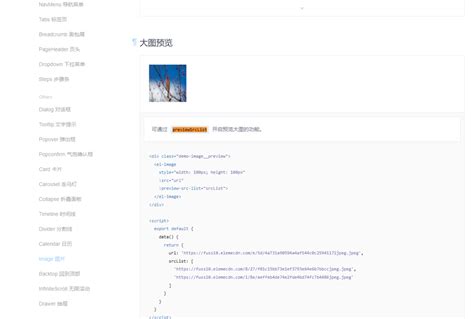 javascript 请问大家element ui 有个图片放大的效果如果是在文章内容页怎样实现 SegmentFault 思否