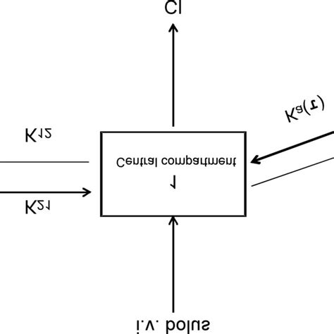 Schematic Representation Of The Enterohepatic Recirculation Model Download Scientific Diagram