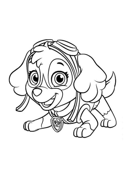 Skye Paw Patrol Coloring Pages Coloringlib