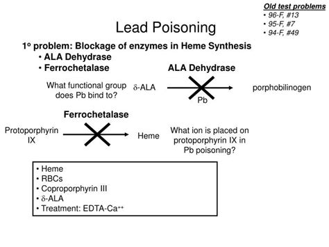 Ppt Lead Poisoning Powerpoint Presentation Free Download Id1111091