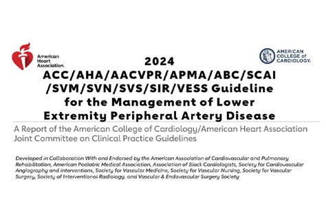 2024 Acc Aha Aacvpr Apma Abc Scai Svm Svn Svs Sir Vess Guideline For The Management Of Lower