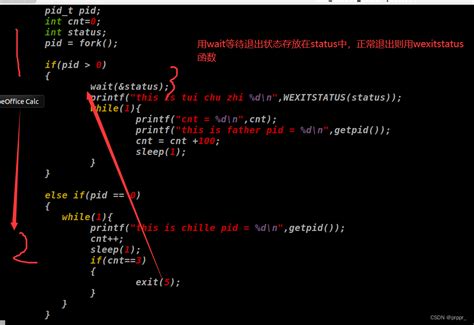 Linux进程！！父子进程fork、vfork、退出、waitandstatus、waitpid、execllpvvp族函数