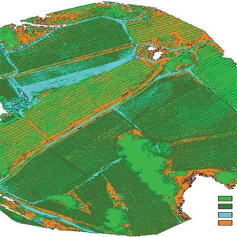 Benchmarking Of Chlorophyll Vegetation Index Cvi 2020 Download Scientific Diagram