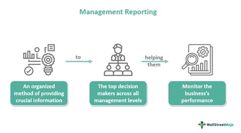 Management Reporting What Is It Example Types Importance