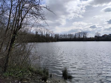 Redmi Note Pro Test And Review Photo Quality