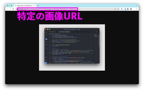 pythonTwitter APIを使って自動投稿ツイートする方法 プログラミングLab