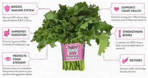 Calorie Content Rapini Broccoli Raab Chemical Composition And