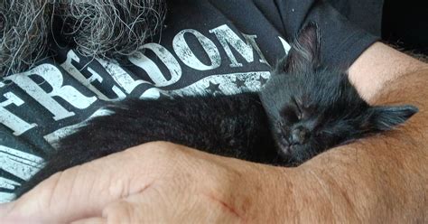 Tiny Void Album On Imgur