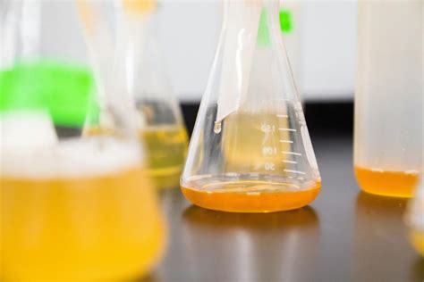 Lib дайджест Global Science Press в БНТУ книжная выставка новости