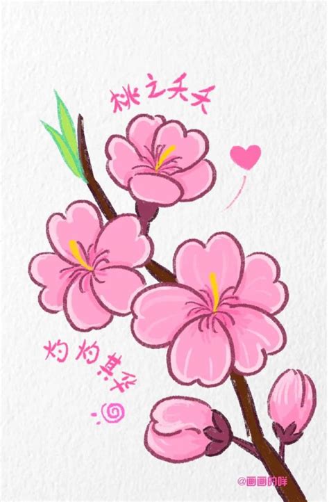 桃花颜色简笔画图片简单（高清15张） 简笔画图片大全