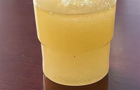 Does Lecithin Emulsify Fat News