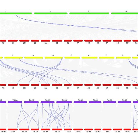 Yeast Δgef1 Mutant Complementation Experiment Yeast Transformed With Download Scientific