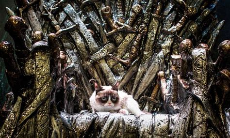 Grumpy Cat Has Passed Away Here Are The Best Memes To Remember Her By