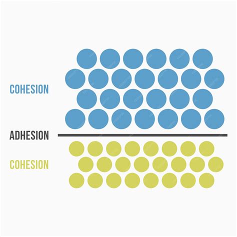 Cohesion Pictures