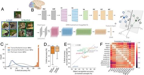 Pranab Ghosh On Linkedin Neural Representational Geometry Underlies Few Shot Concept Learning