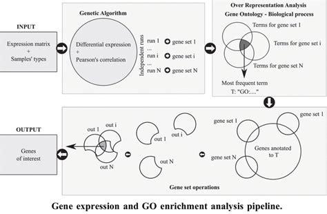 Editors Choice Microarray Analysis Workflow Based On A Genetic
