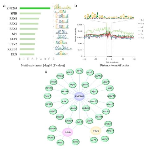 Integration Of Atac Seq And Rna Seq Unravels Chromatin Accessibility