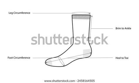 Diagrams Mens Sock Measurements Text Names Stock Vector Royalty Free